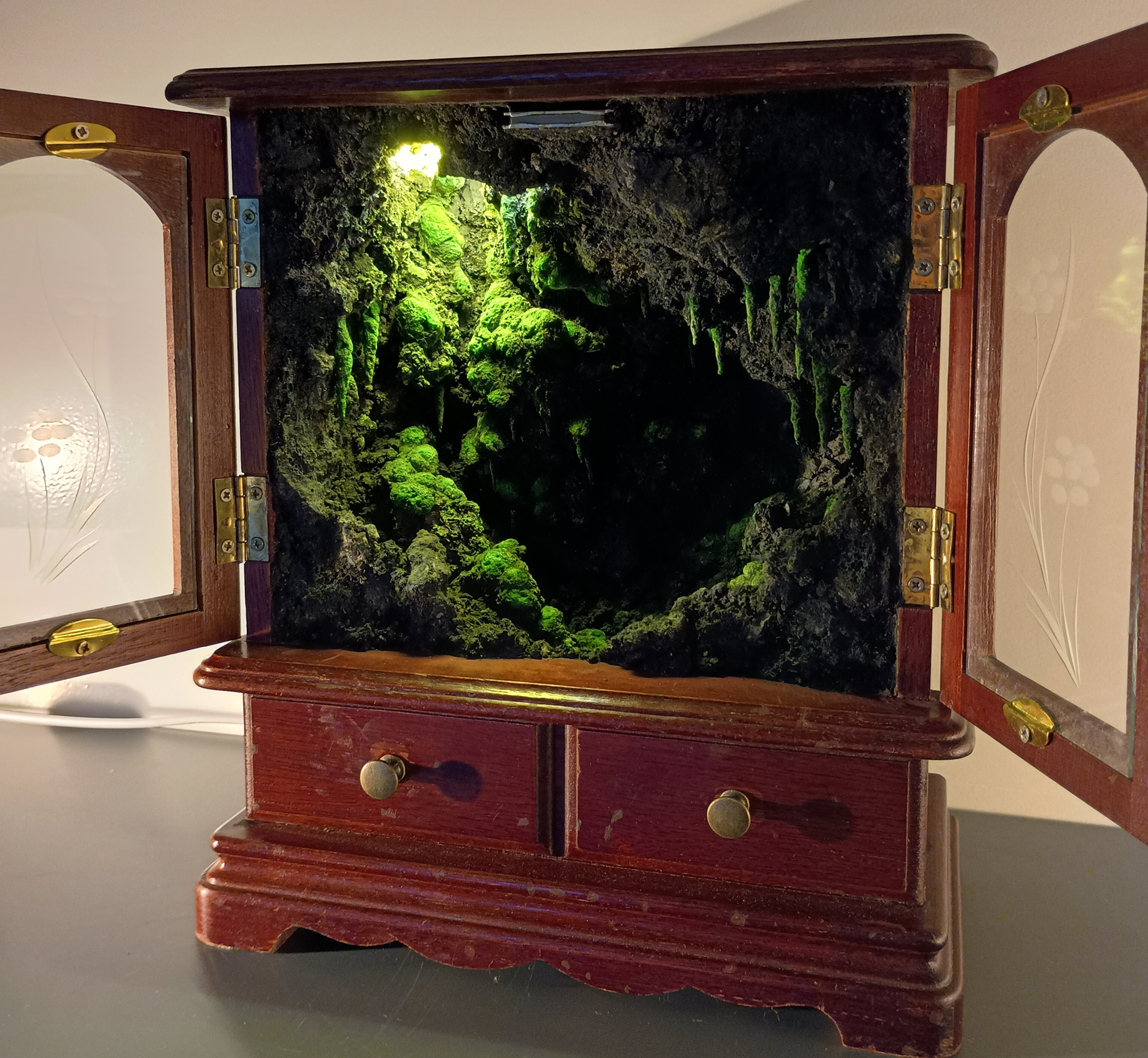 Mossy Grotto - Music Box – The Mossy Grotto